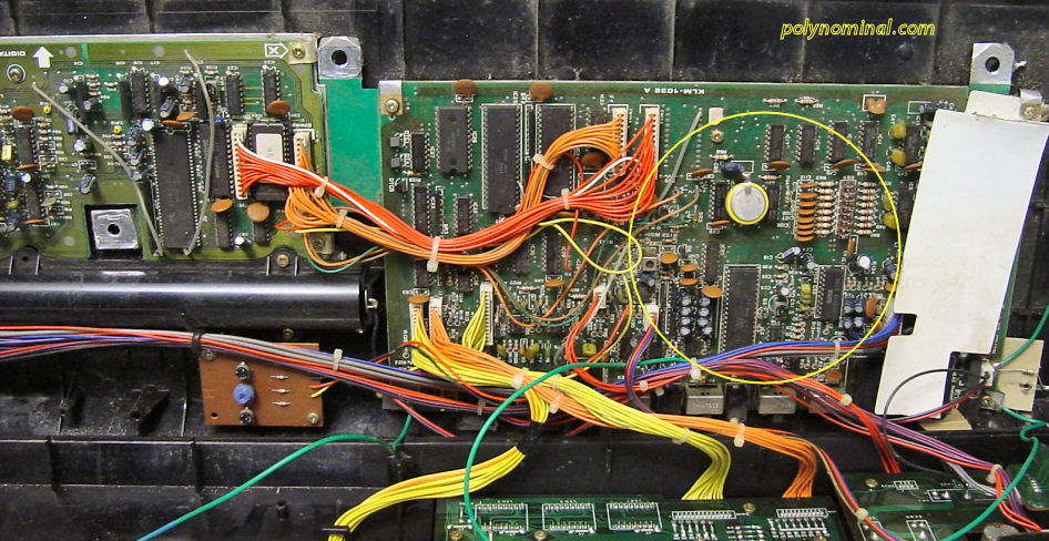 Korg Poly-800 II review